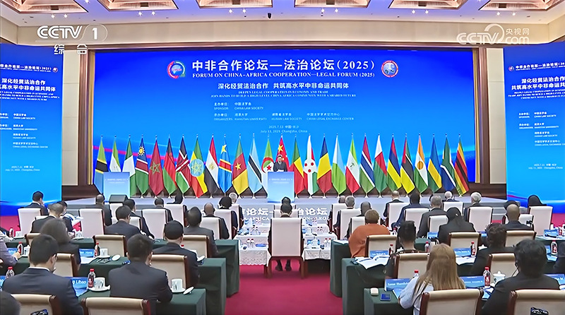 Professor Yao Jianlong Participated in Forum on China-Africa ...